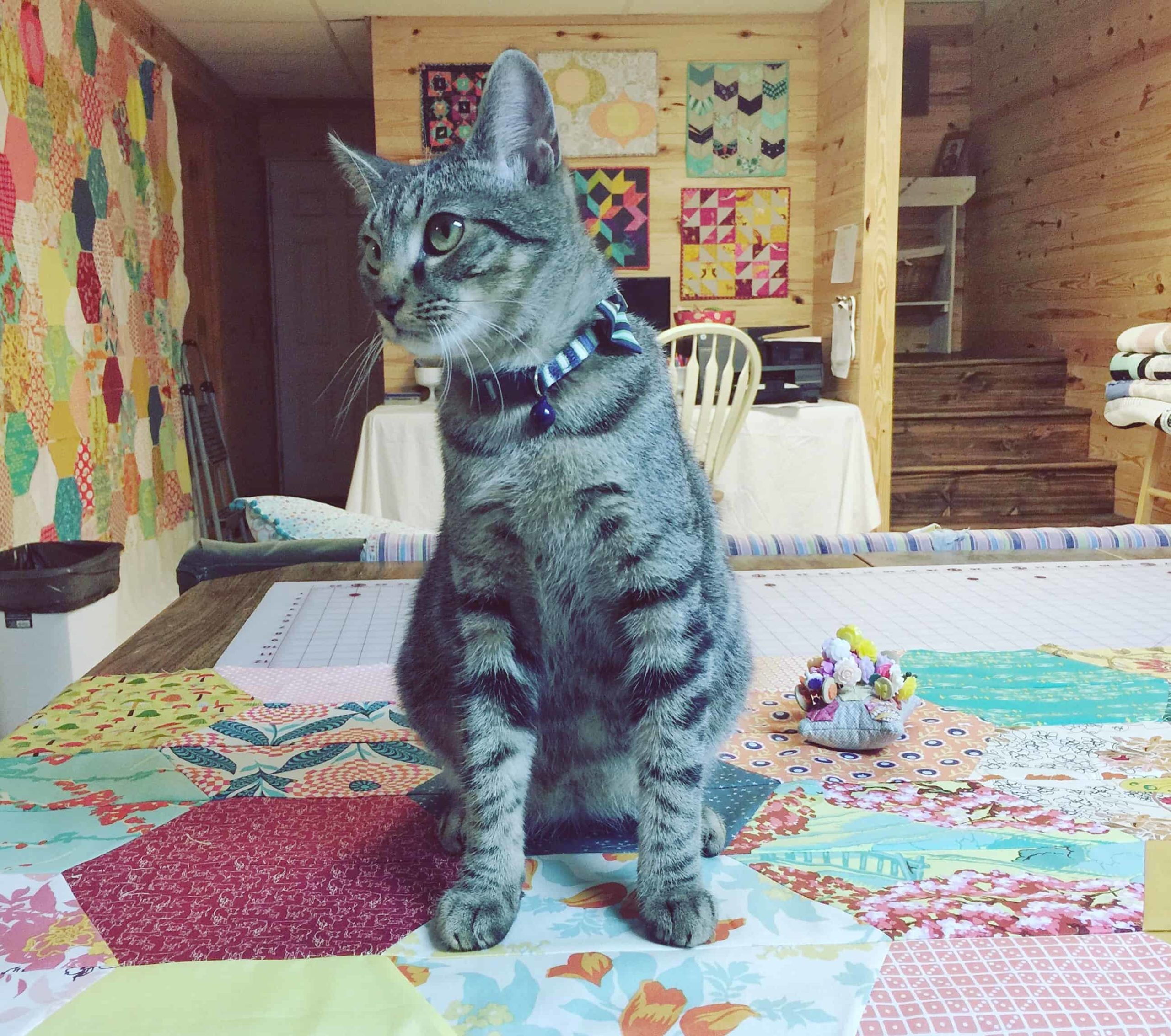 How to make a hexagon quilt with half hexies - free quilt pattern - 5 ...